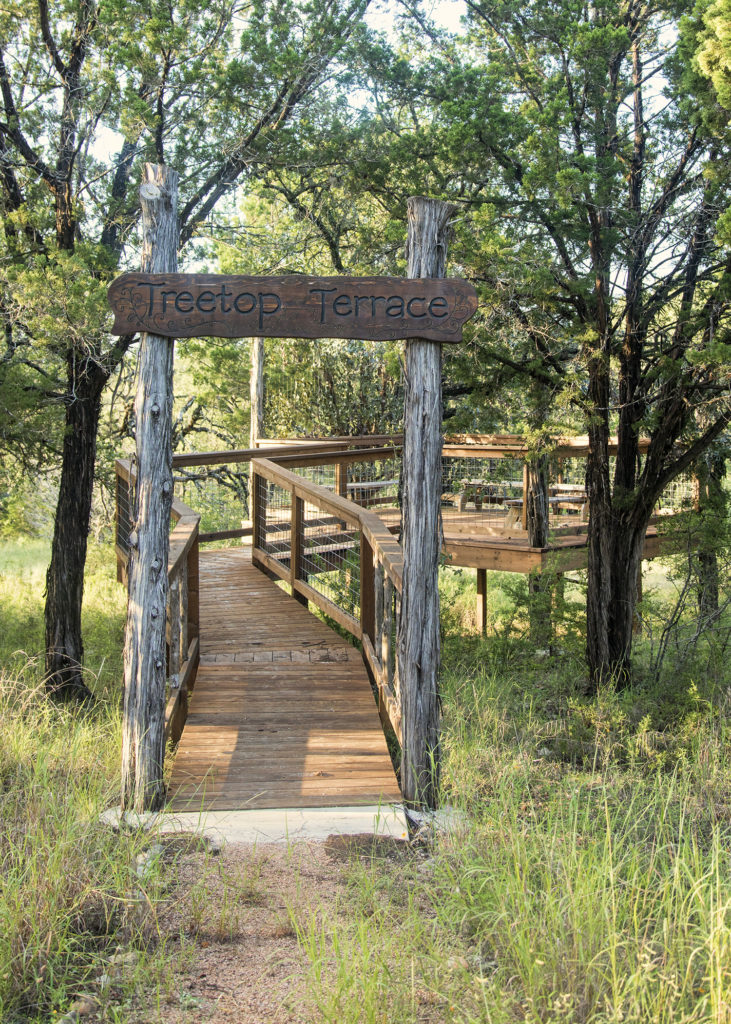 tree top terrace | Candlelight Ranch